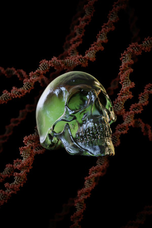 Coming soon … The Hidden Genes of Professor K - Author Gabriel Farago ...