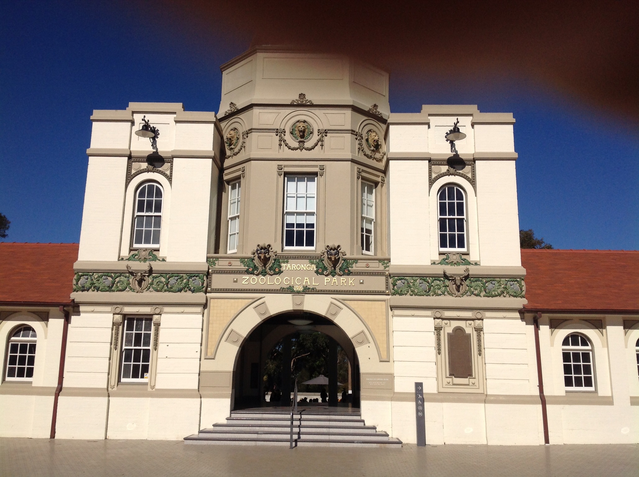 Zoo Story: Elsa and the Springbok; a Writer’s Journey 4 - Author ...